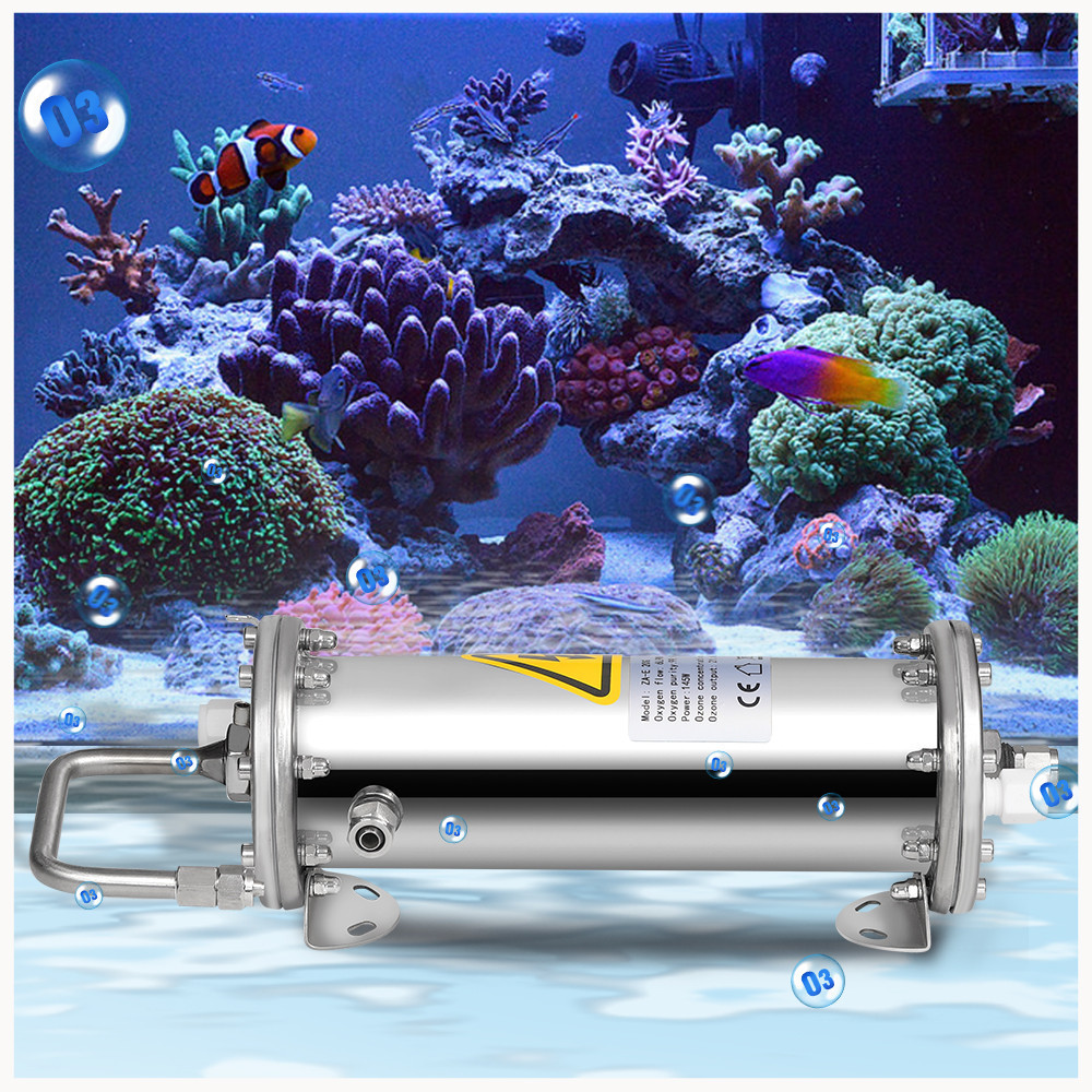 Ozone Water Purifier Pool Water Treatment Ozone Generator Accessories ...