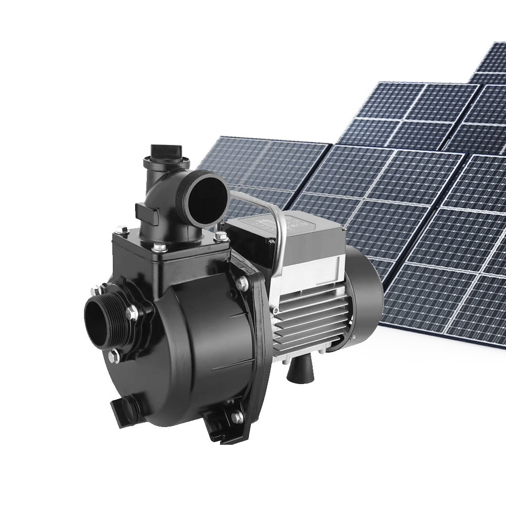 Yangchun 3 Inch Solar Agriculture Water Surface Self-priming Pump ...