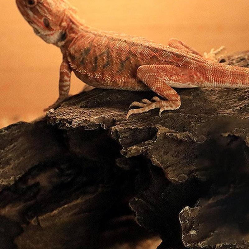 ۩Lizard Caves Habitat Hiding Caves Basking Hide Habitat Aquarium ...