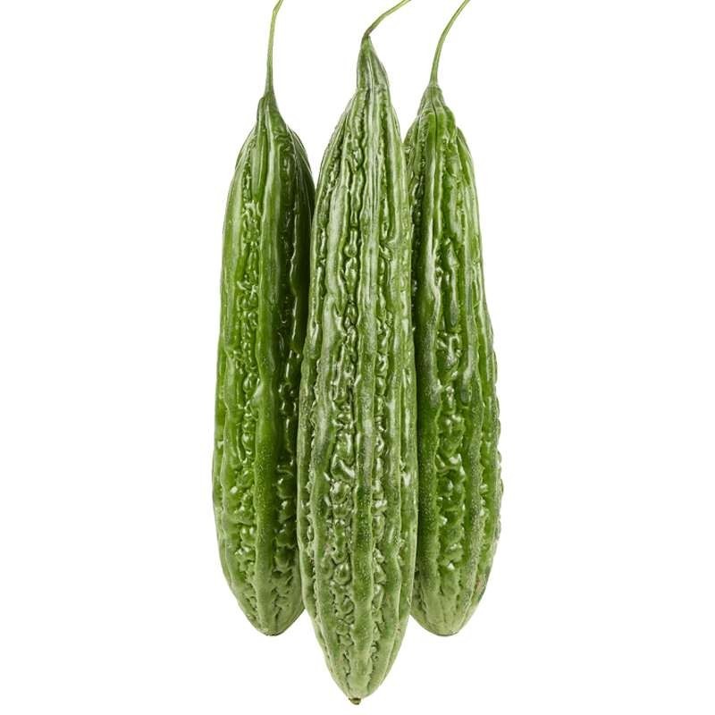 Ampalaya/Bitter Gourd Plant with FREE garden soil, plastic pot and ...