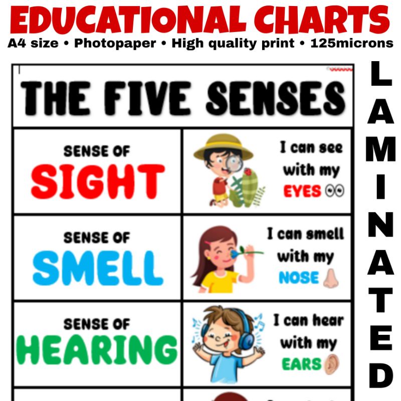 The Five Senses Educational Chart for kids A4 size Laminated | Shopee ...