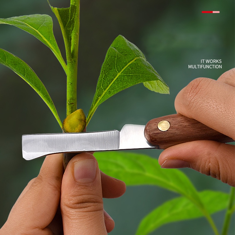 ๑Grafting Tools Foldable Grafting Pruning Knife Professional Garden ...