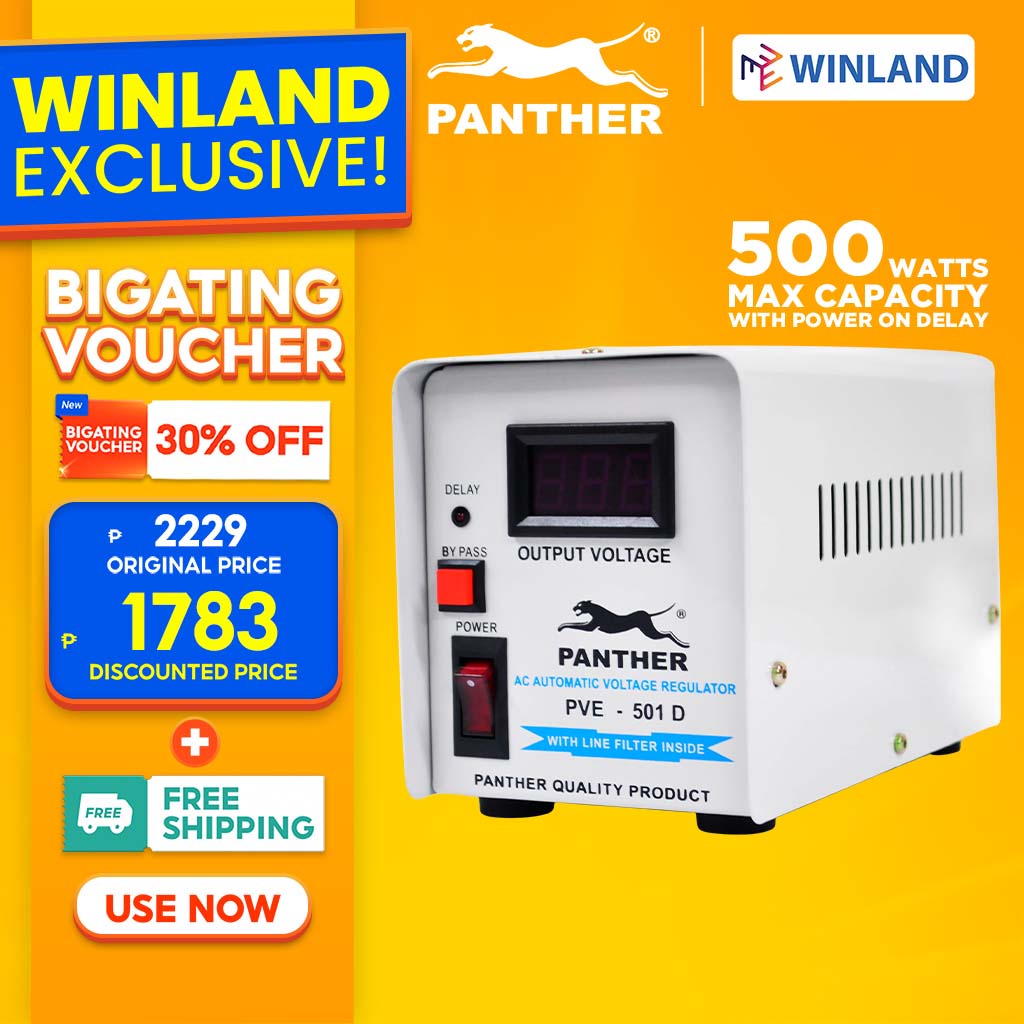 Panther by Winland 500W AVR w/ Power on Delay Automatic Voltage ...