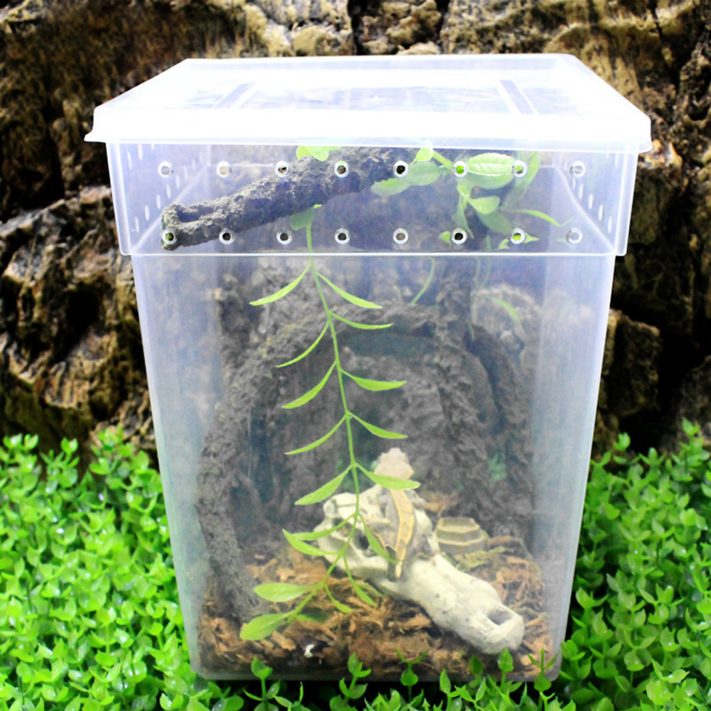 ★Reptile Feeding Box, Tarantula Enclosure Turtle Tank Aquarium Lizard ...