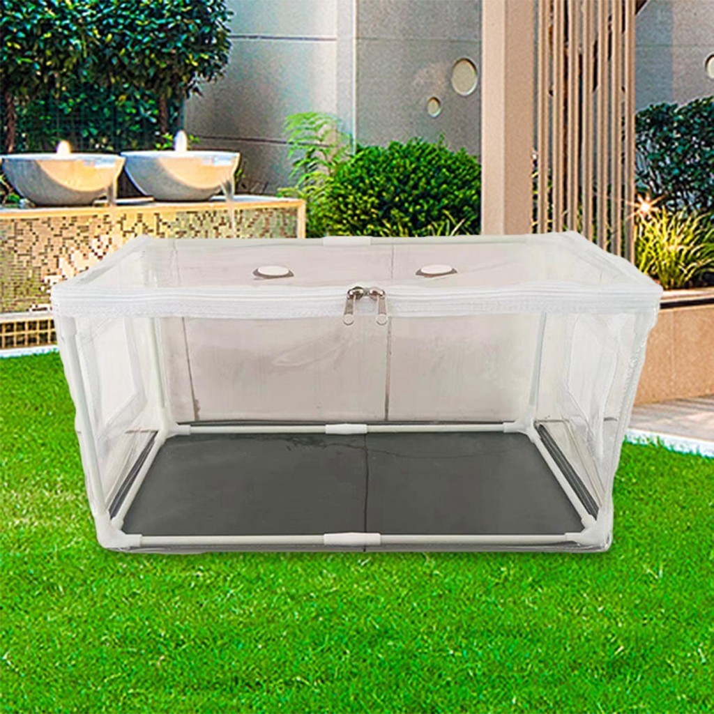 ☭Mushroom Growing Container Portable Transparent Cover Mini Greenhouse ...