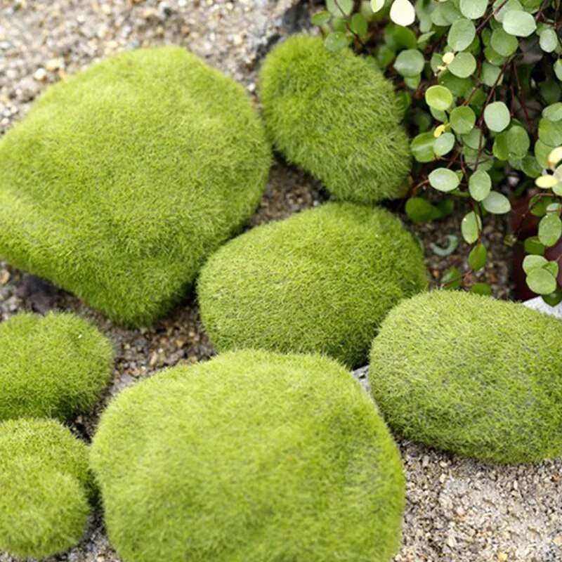 Artificial Fake Moss Stone Simulation Moss Stone Plant Decoration For ...