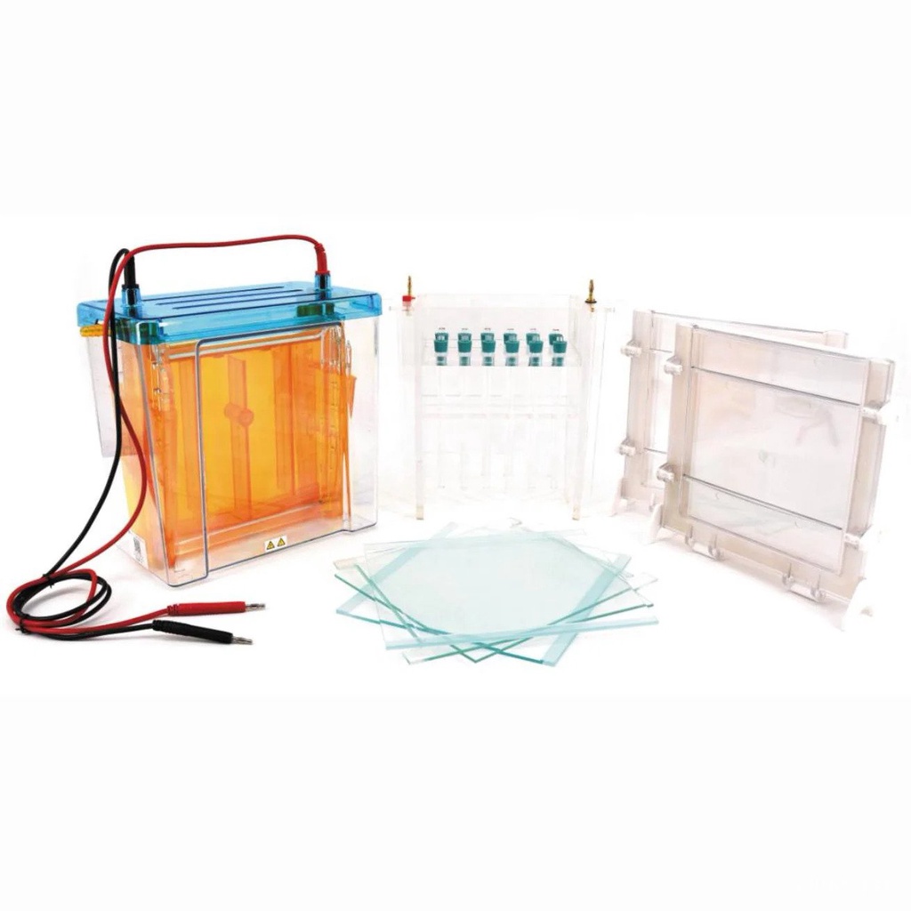 CHINCAN DYCZ-26C 2-DE Protein Vertical Electrophoresis Cell Gel ...