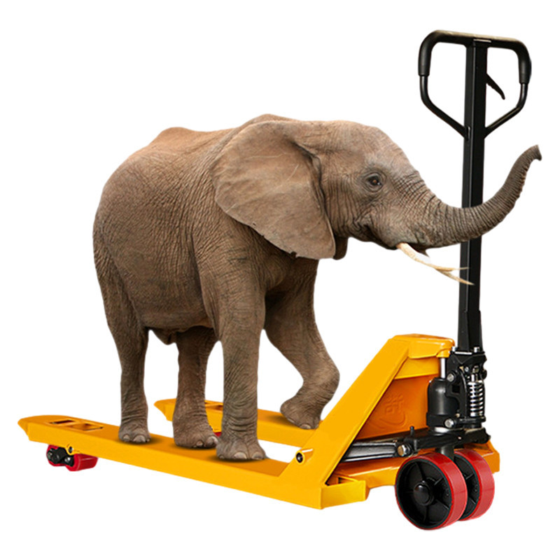 Portable 2500kg Large Capacity Nylon Pu Wheel Hand Pallet Truck ...