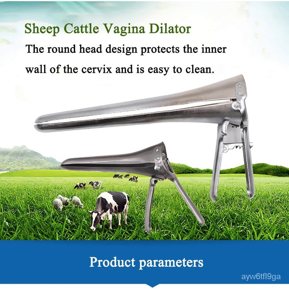 Vaginal Speculum Cattle Sheep Cow Goat Dilator Artificial Insemination ...