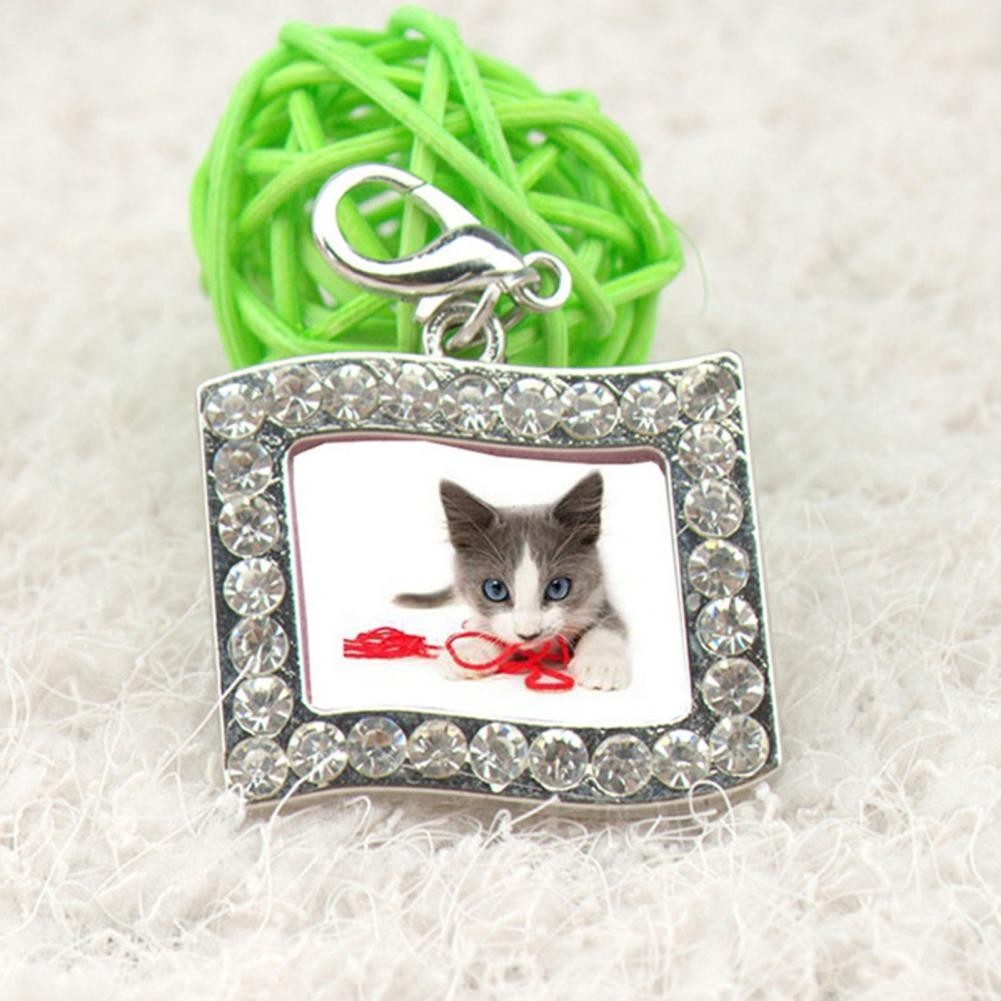Rhinestone Pet Tag Customized Engraved Pet Id Tags for Dogs Cats ...
