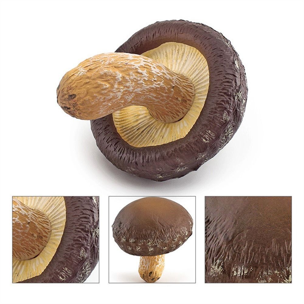 Vegetable Model Fungus Figurines Artificial Landscape Miniatures Fungus ...