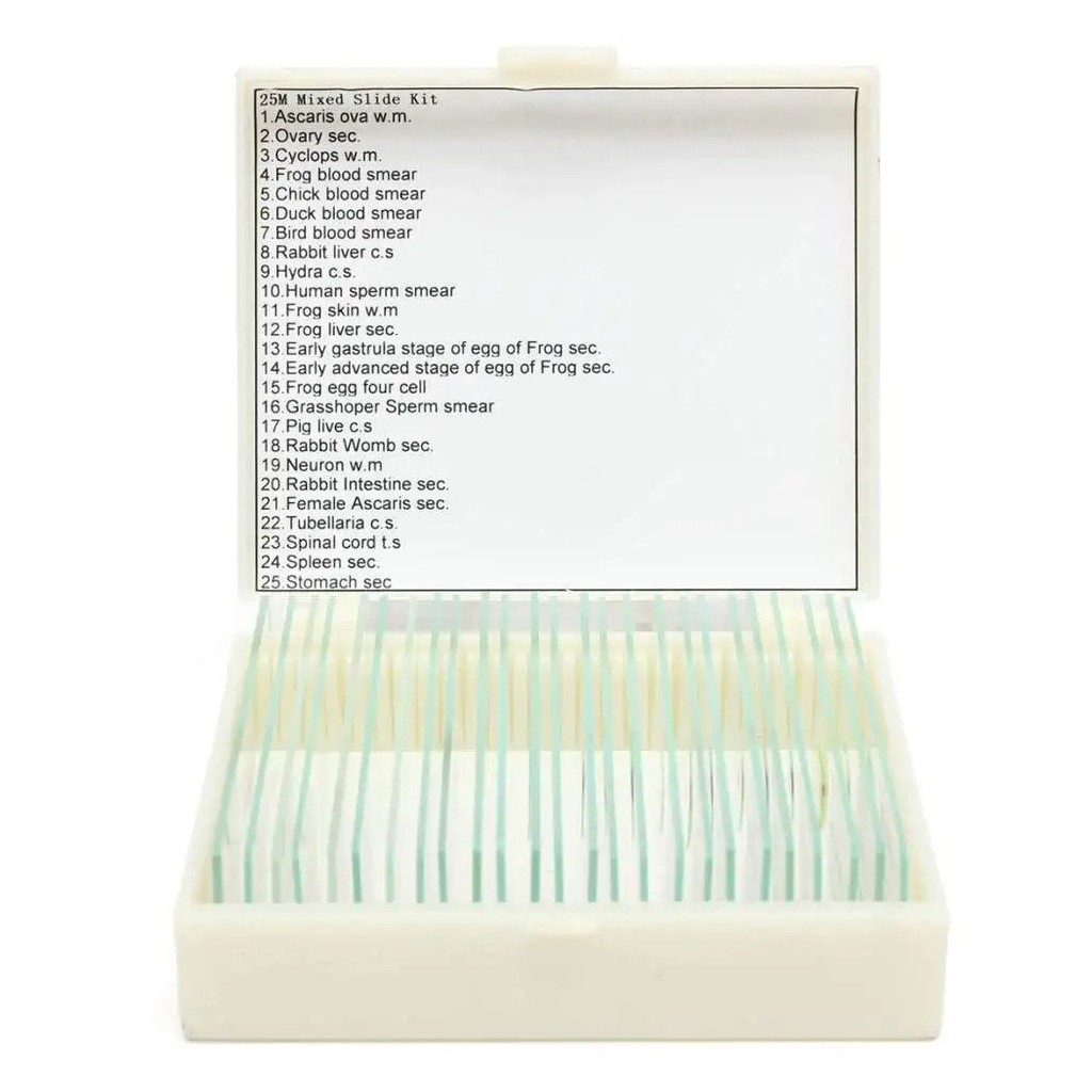 Fixed 25pcs Mixed Basic Anatomy Glass Slides Prepared Histology ...