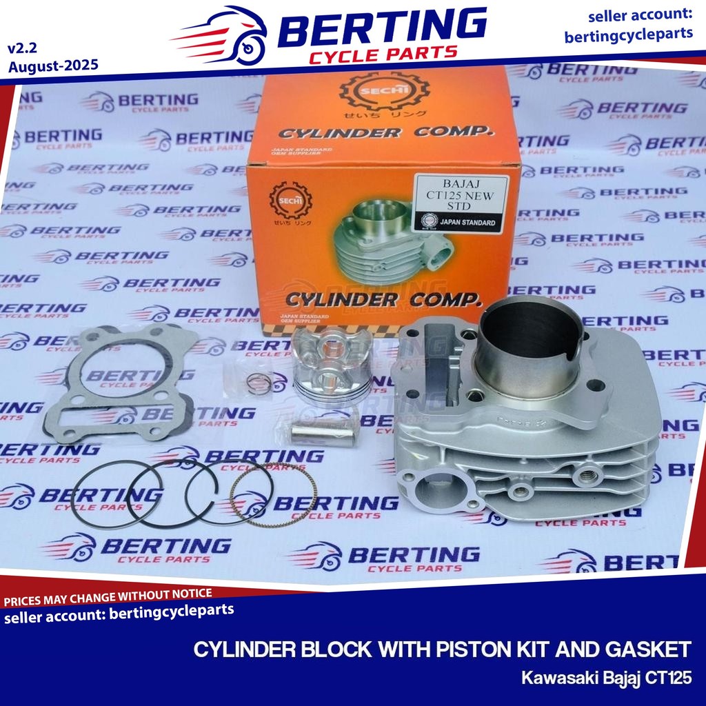 CYLINDER BLOCK WITH PISTON KIT AND GASKET Kawasaki Bajaj CT125 Sechi ...