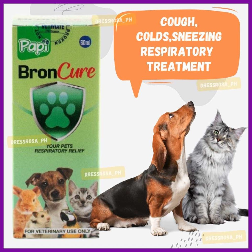 PET|F'CAT:jG,AND#zR)DOG)G}PARA)S>SA}t)SIPON>I}AT)E>UBO PAPI BRONCURE ...