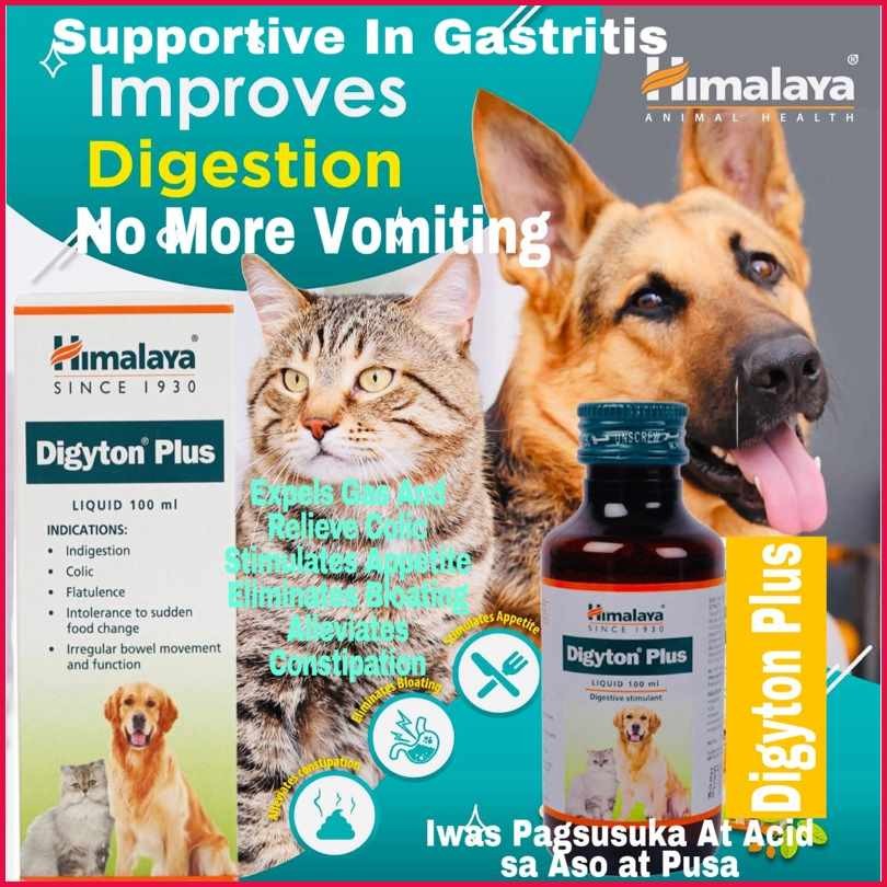 Himalaya!UG#Digyton W+g+e+e+u+F+B Plus Digestive Stimulant For Dogs And ...