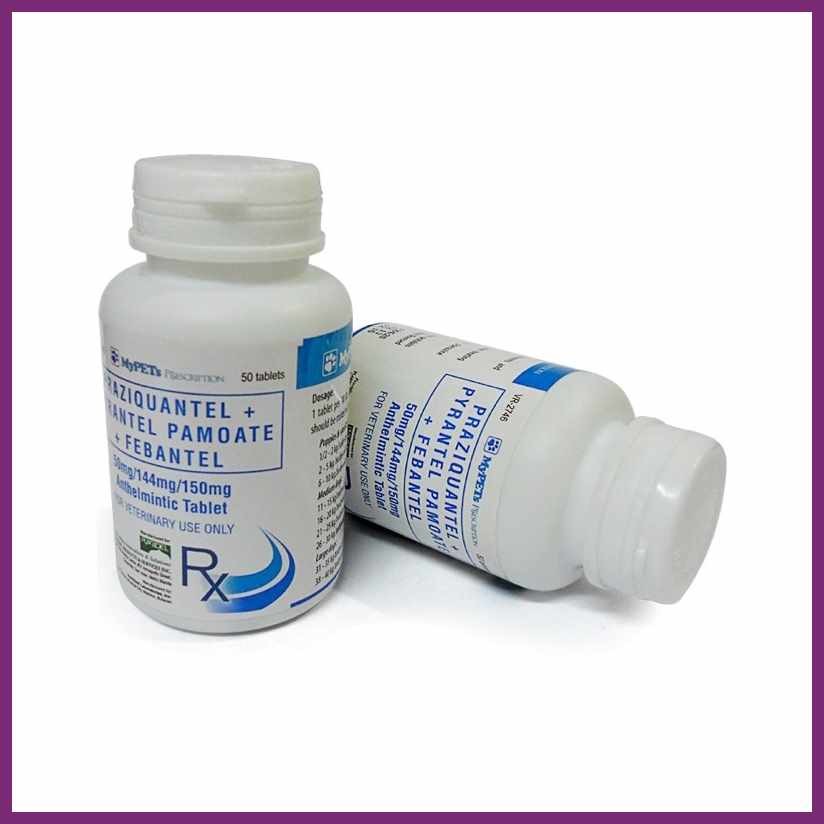 Prazivet!m[Forte-nDewormer-iTablet-n(Expiry-E2026) | Shopee Philippines