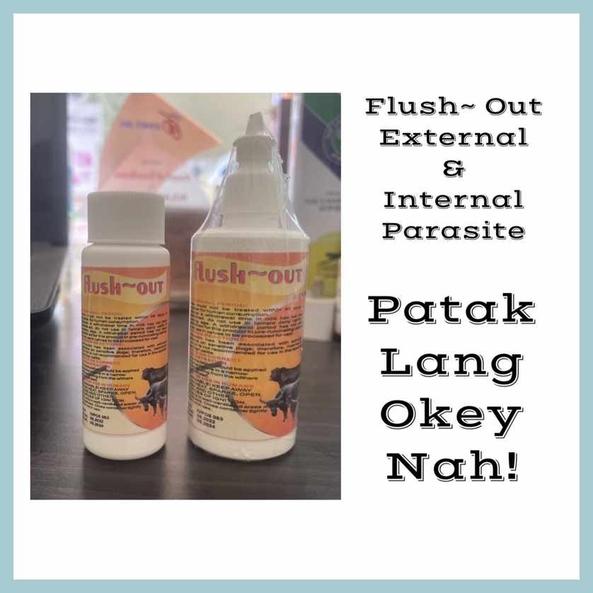 Flush]Jf(-;R^Out)w}Bulate>r}ka!>c}Dewormer>Y}Papatak>uX}ka>Du}lang ...