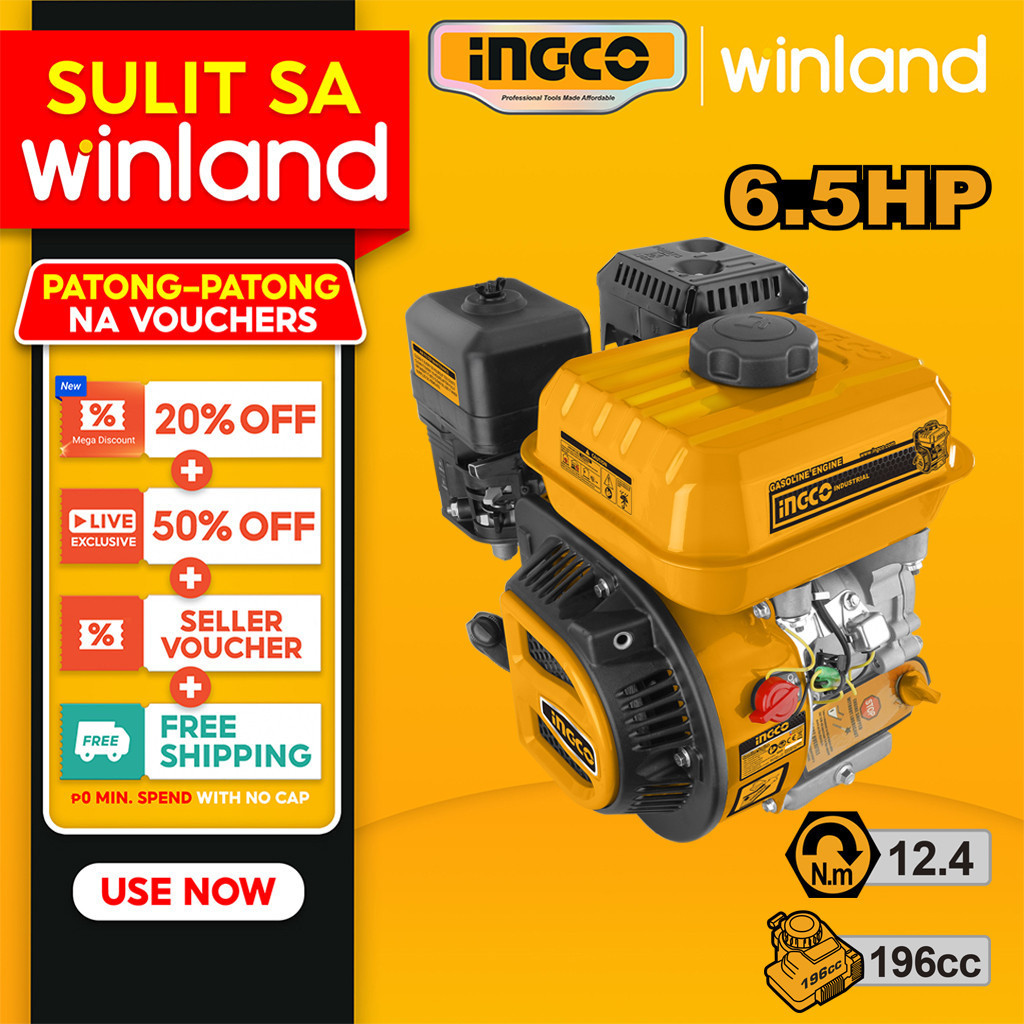 Ingco by Winland Industrial Gasoline Engine Generator 6.5HP GEN1682 ING ...