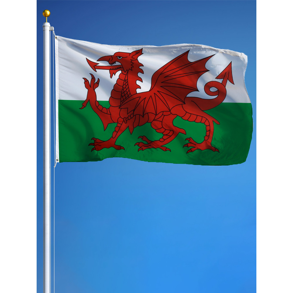 60x90cm 90x150cm red dragon wales Flag For Decoration 2x3ft/3x5ft The ...