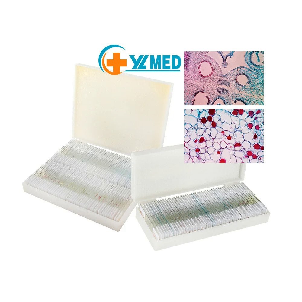 Lab and medical pathology histology microscope slides , Medium-sized ...