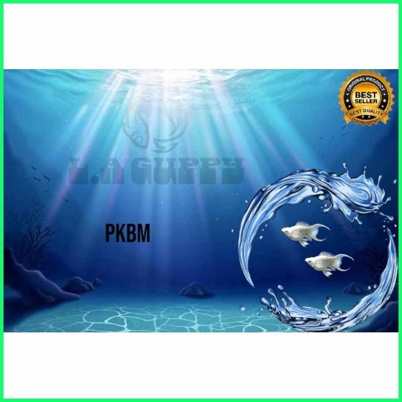 3PCS(H fishfood | Shopee Philippines