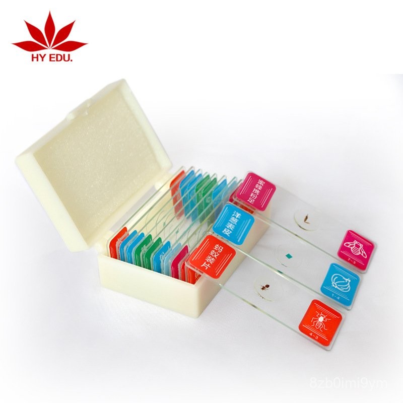YTW2 Piece Pack10Microscope Slides Set Labels Colorful Biological ...