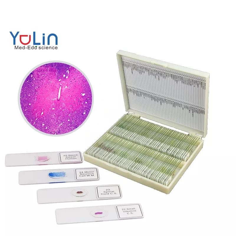 Factory-distributed high quality bio slide histology embryology section ...