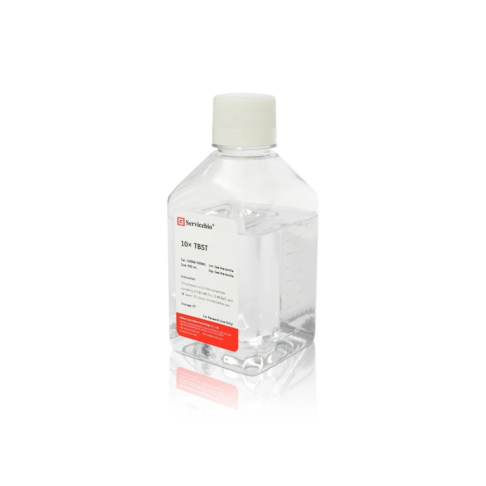 10x Concentrated Tris-buffered Saline TBST TBS Buffer Solution with ...