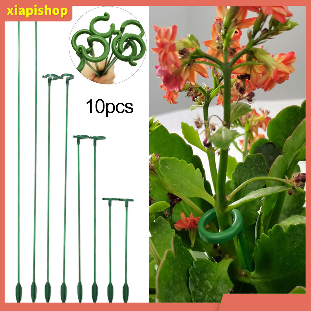XPS Garden Plant Stake Flower Pot Stand 10pcs Plant Support Stakes with ...