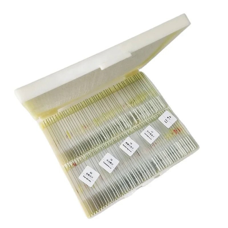 plant prepared slides microscope prepared biology slides histology ...