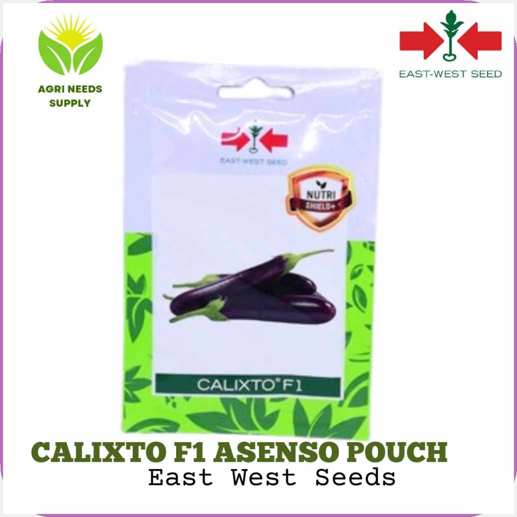 Eggplantc%(Talong)/p>Calixto)Zl>F1)ol>East)Ww>West)dD>Seeds)ng>asenso)z ...