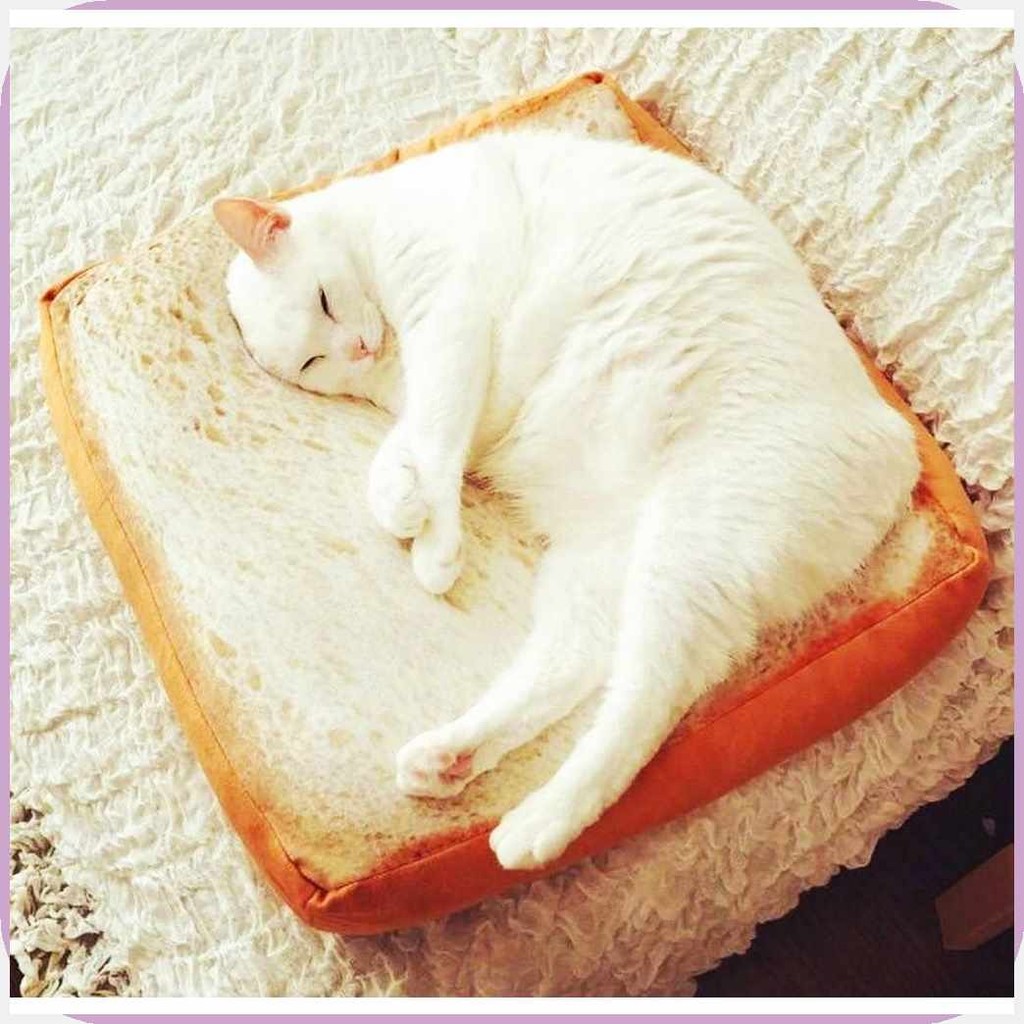 Pet+V/Dog`cG;Cat;VL{Sliced