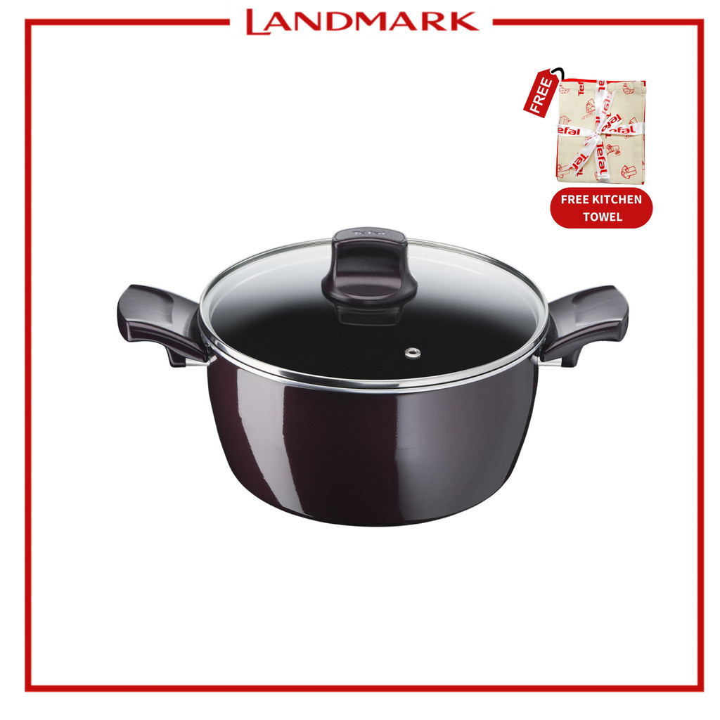 Tefal Resist Intense Collection Stainless Stew Pot 22cm with Free Item ...