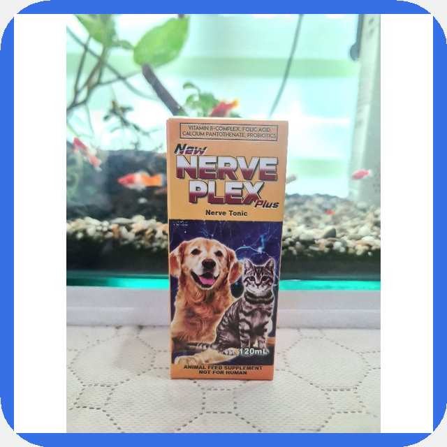 Nerve\B,Plex~Z`Plus=xH]120mL | Shopee Philippines
