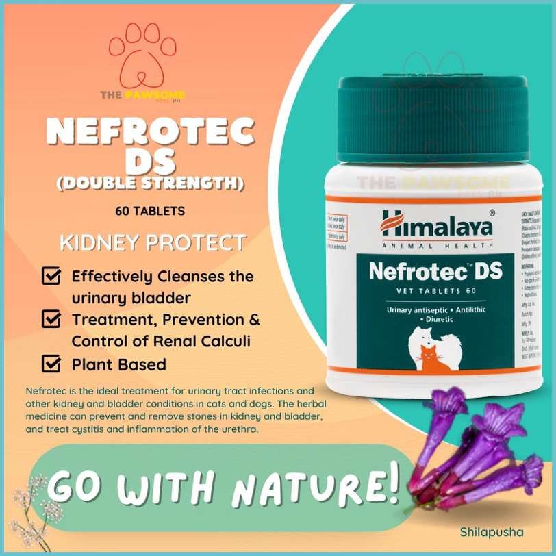 Nefrotec`il&DS