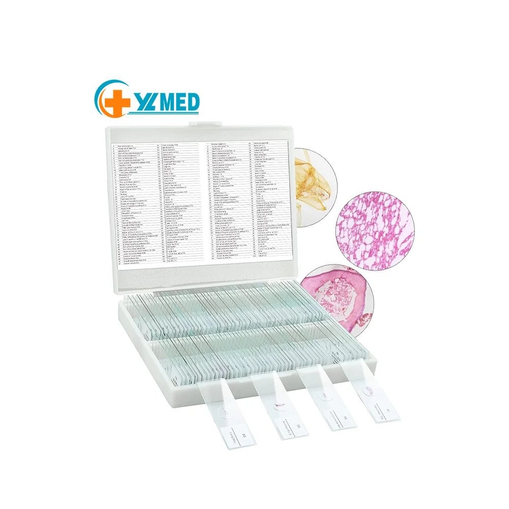 Embryo of Chicken serial transverse sections microscope prepared slides ...