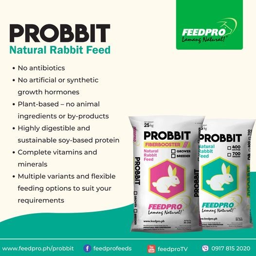 Feedpro - Probbit Rabbit Repacked | Shopee Philippines