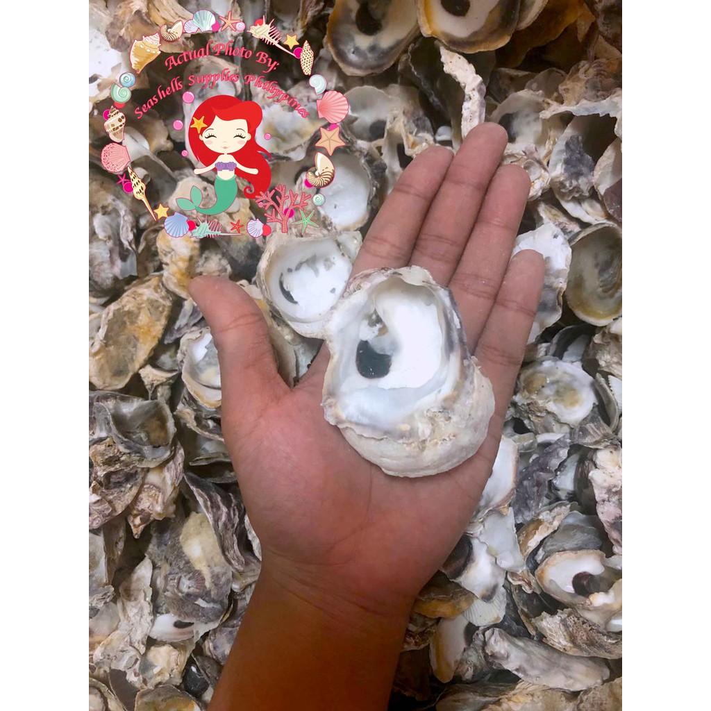 SUPER TINGI TRIAL PACK - 50 GRAMS | Talaba | Philippine Cupped Oyster ...