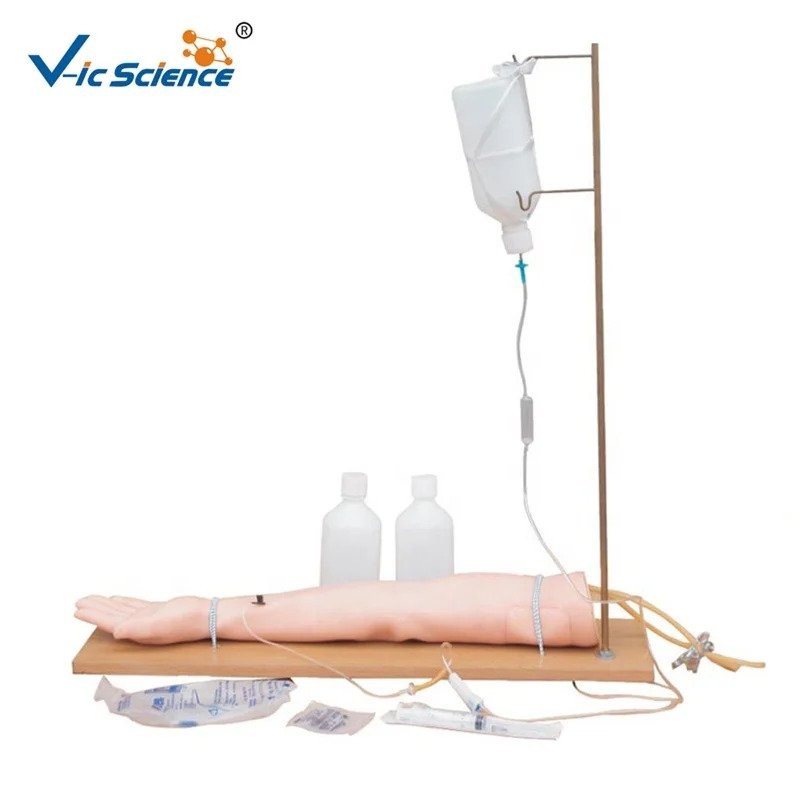Injectable training arm model (with Set) clinic venipuncture training ...