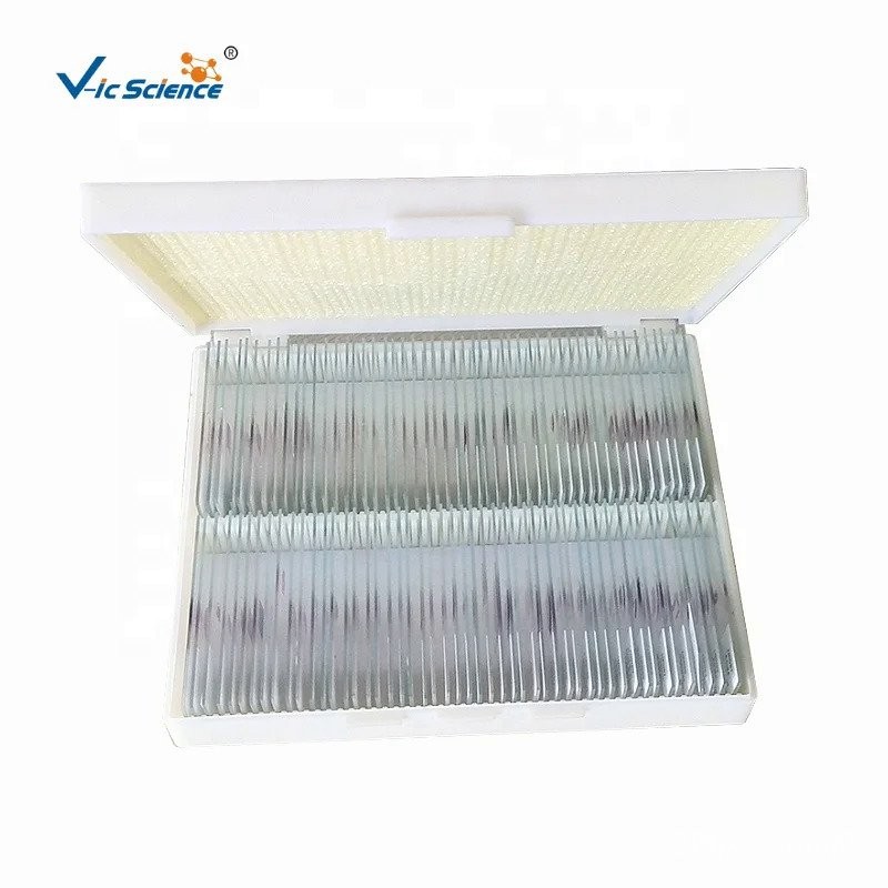 laboratory histology slides prepared slides in human histology ...