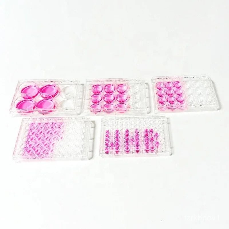Liquan 24 Wells Cell Culture Plate 6/12/24/48/96 Well Tissue Culture ...