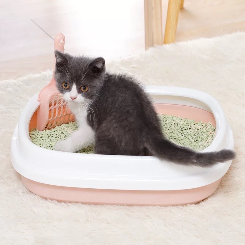 Cat,ey_Litter#kF?Box-Vz