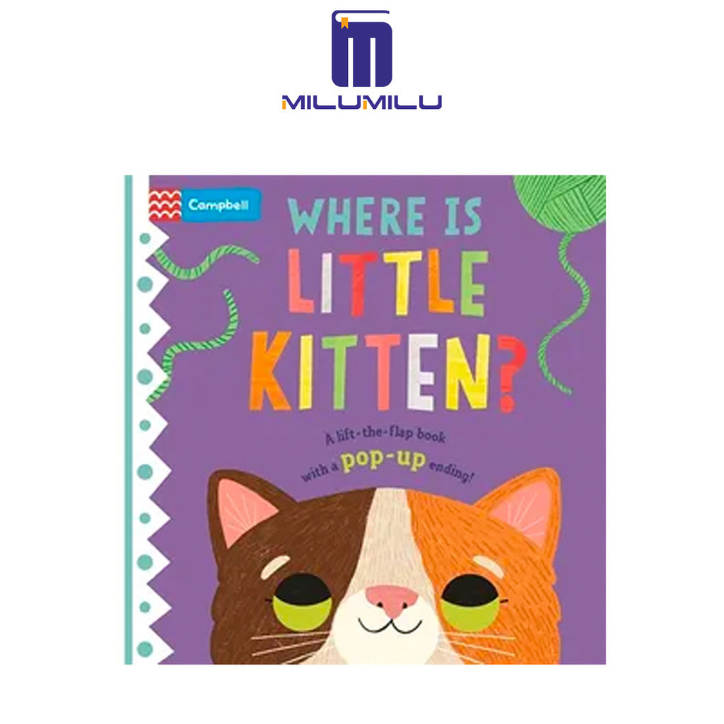 Where Is Little Kitten? Campbell Books Illustrated By Hannah Abbo Ages ...