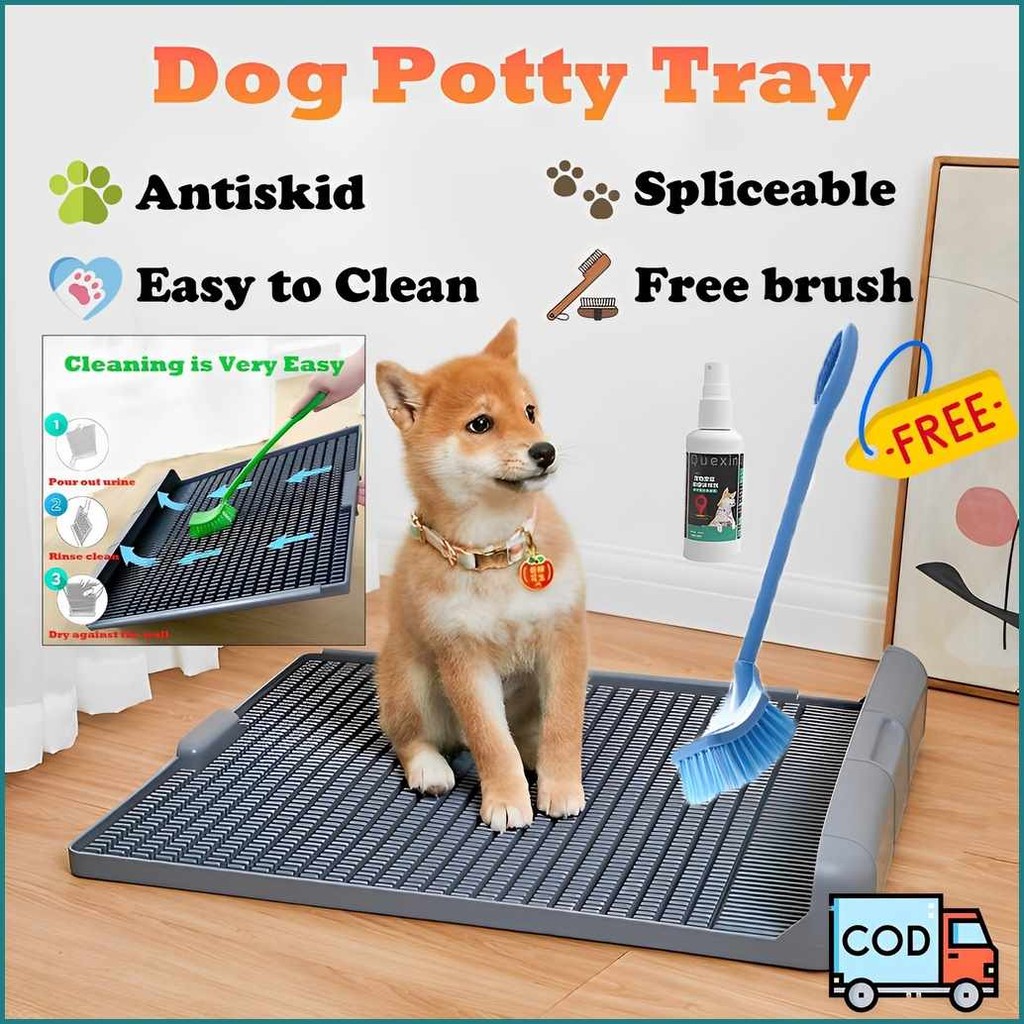 Dog*BP}Training#q`Potty+Fz[ed@Pad,fm[Dogs,WR[Toilet,WA[Puppy,zE[Pee ...