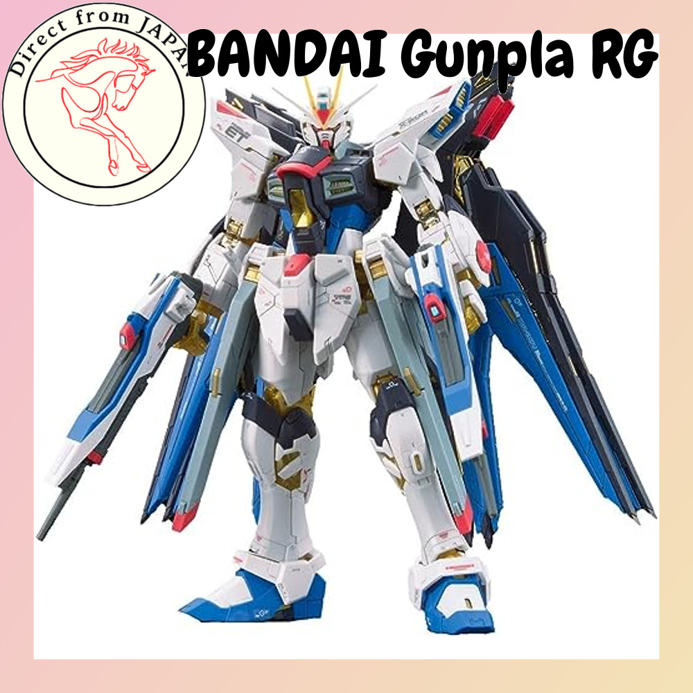 BANDAI SPIRITS RG Mobile Suit Gundam SEED DESTINY ZGMF-X20A Strike ...