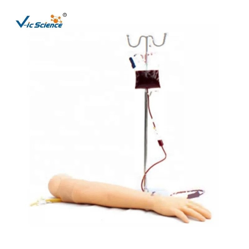 advanced venipuncture and intramuscular injection arm model arm perform ...