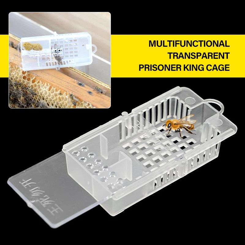 10 Pcs Queen Bee Cages Transparent Push-pull Queen Cage Bee Transport ...