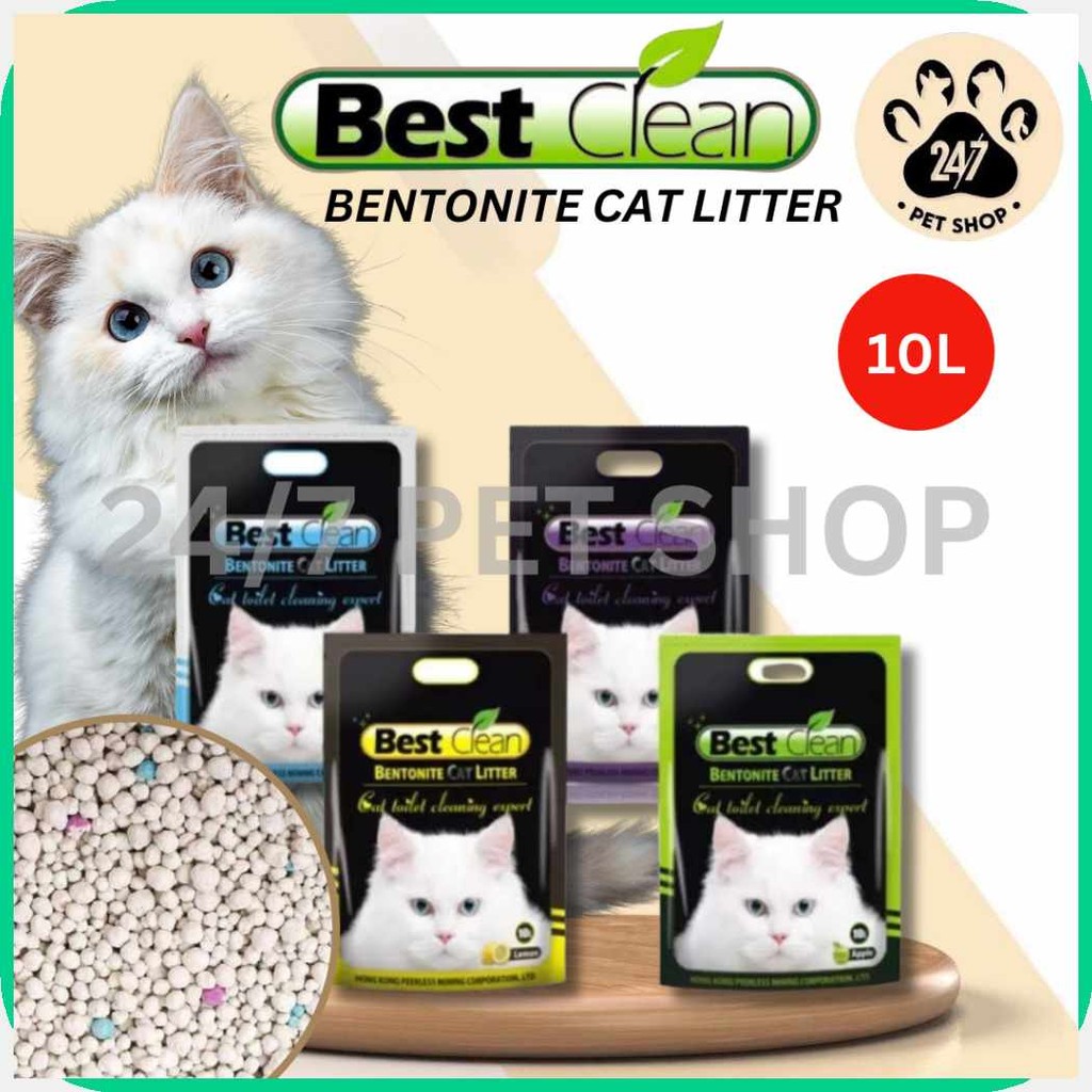 CatY`Litter+c#10L(Td|Best=dQ|Clean=kP|Bentonite=mI|Sand=VB|for=sY|Pet ...