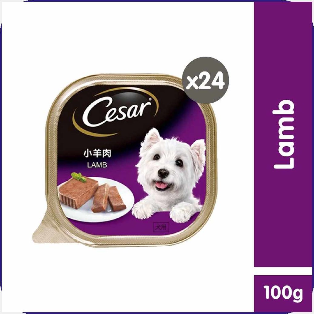 CESAR$t)Wet{tU$Dog>LW)Food}jc)in}mj)Lamb}Mk)Flavor-}Yf*100g~gt*(24-Pack ...