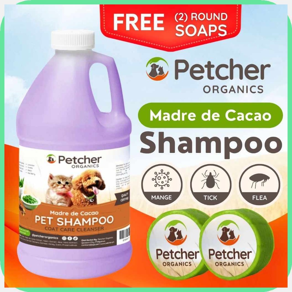 Petcher#iU$Madre/Uo;De[hJ,Cacao!RK,Pet!x,Shampoo!B,1/2!e,Gallon!a,with ...